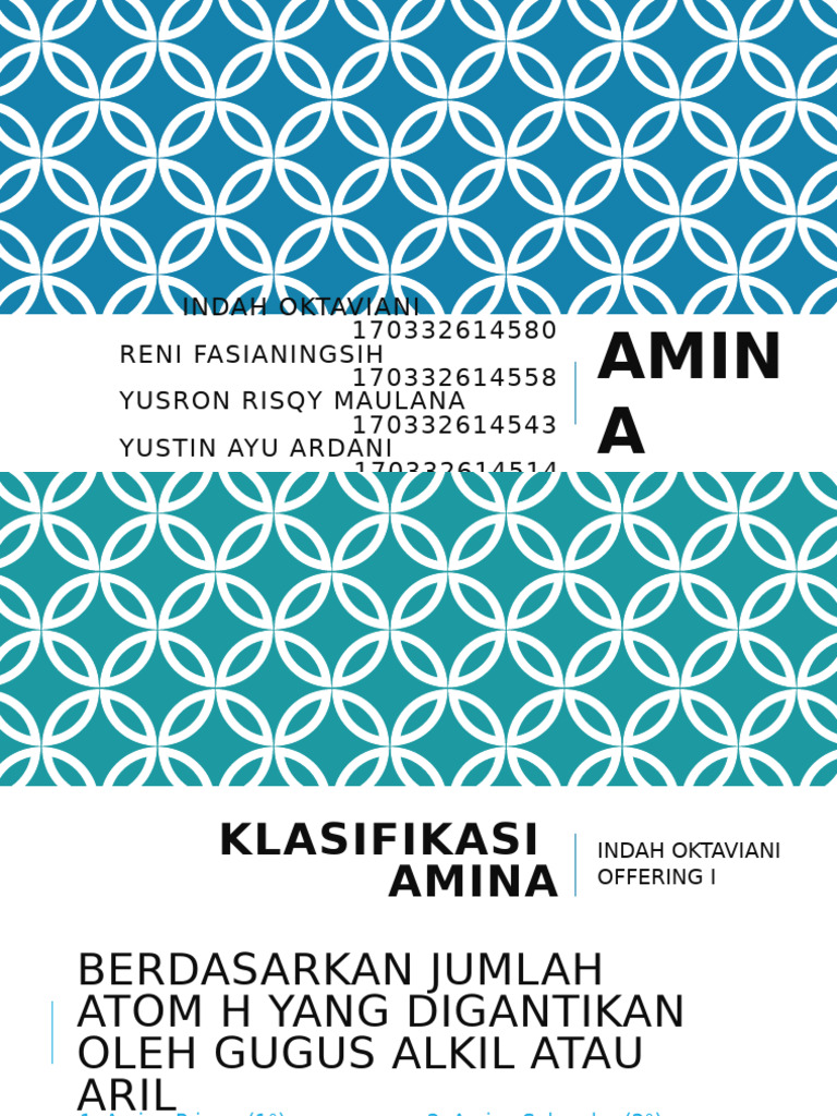 AMINA | PDF