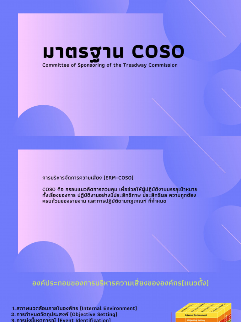 มาตราฐาน COSO | PDF