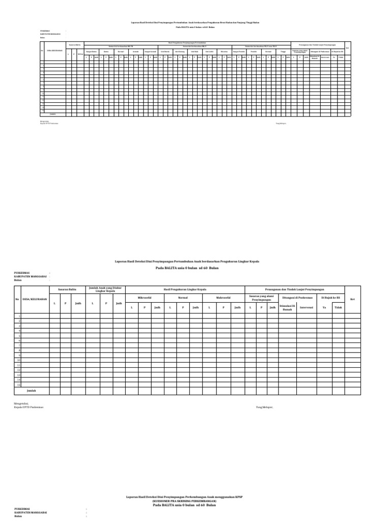 Format Laporan Sdidtk 2024 Kabupaten | PDF