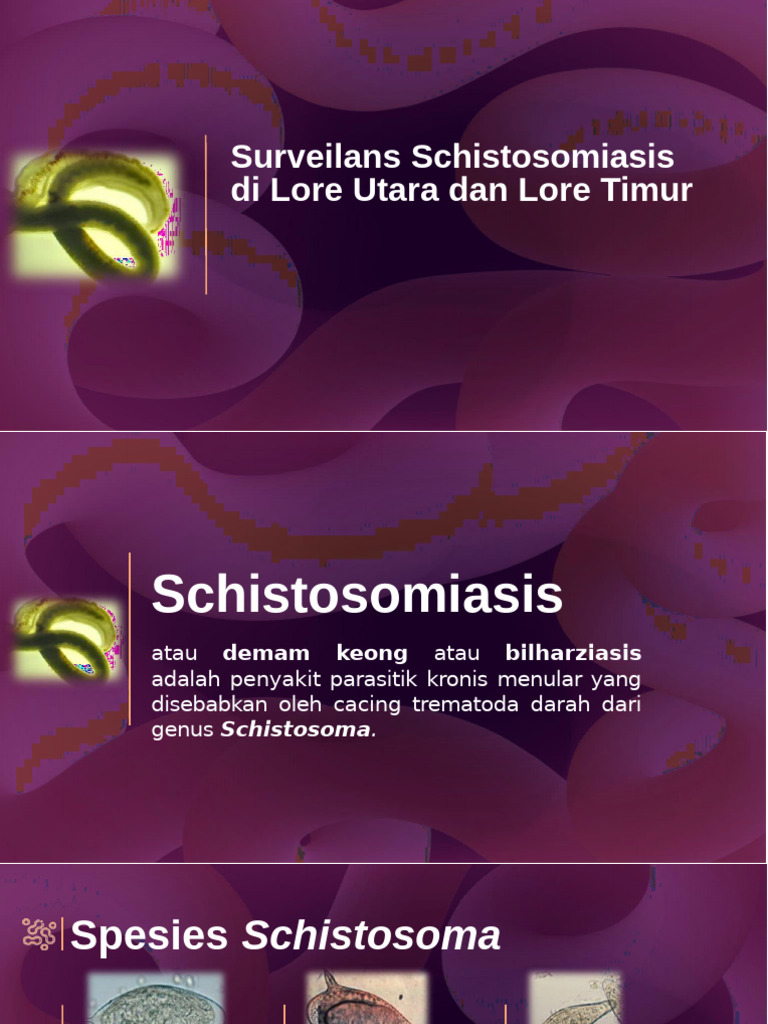 Surveilans Schistosomiasis Lore Utara & Lore Timur 20230816 | PDF