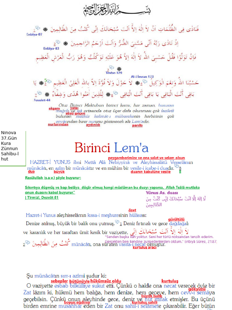 1.lema | PDF