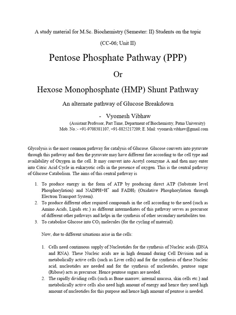 Pentose Phosphate Pathway Overview | PDF | Metabolic Pathway | Metabolism