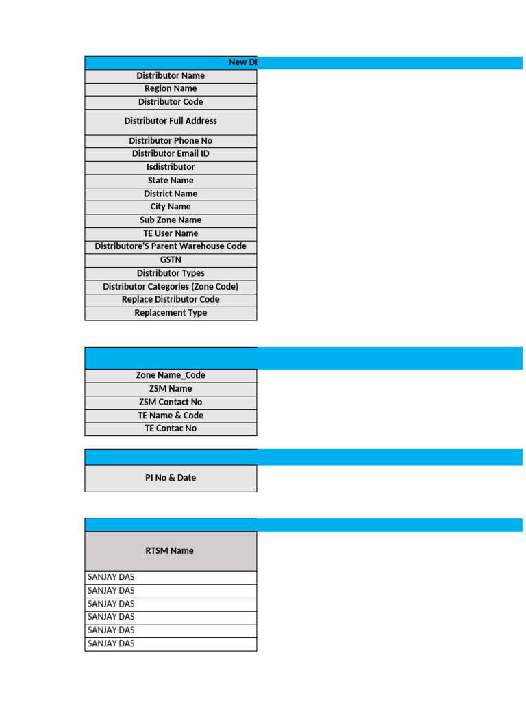 Bizom Rollout Format Details | PDF