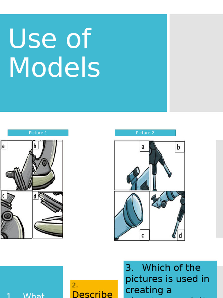 Use of Models | PDF