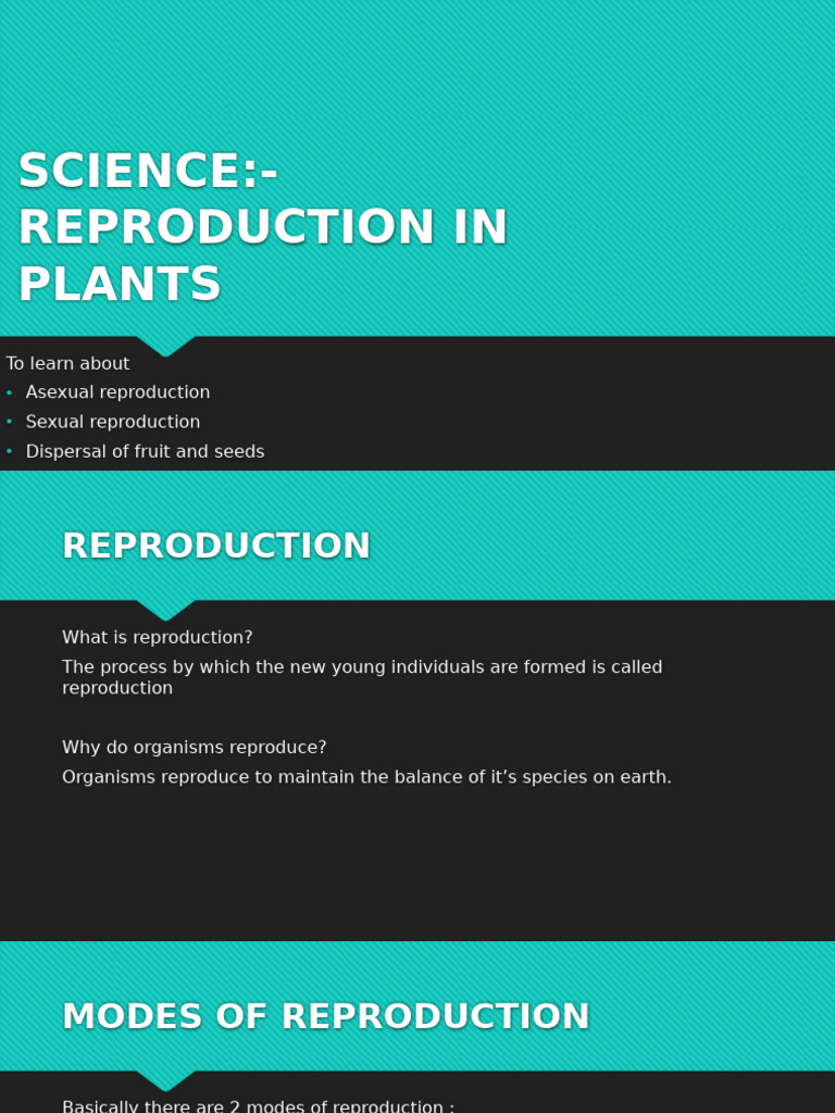 Reproduction in Plants | PDF | Plant Reproduction | Sexual Reproduction