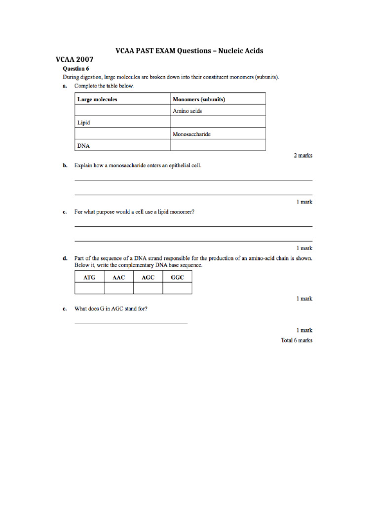 Nucleic Acids VCAA Qs | PDF