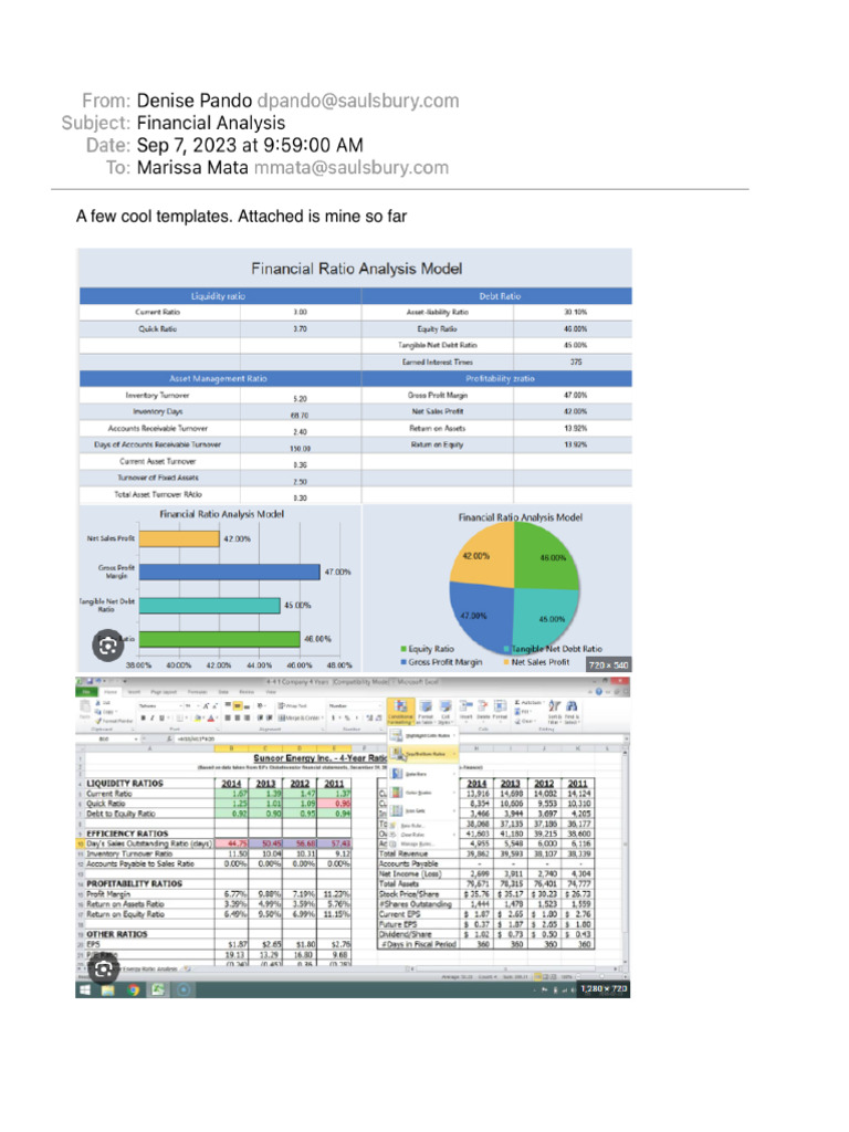 Financial Analysis - Class Group Program | PDF