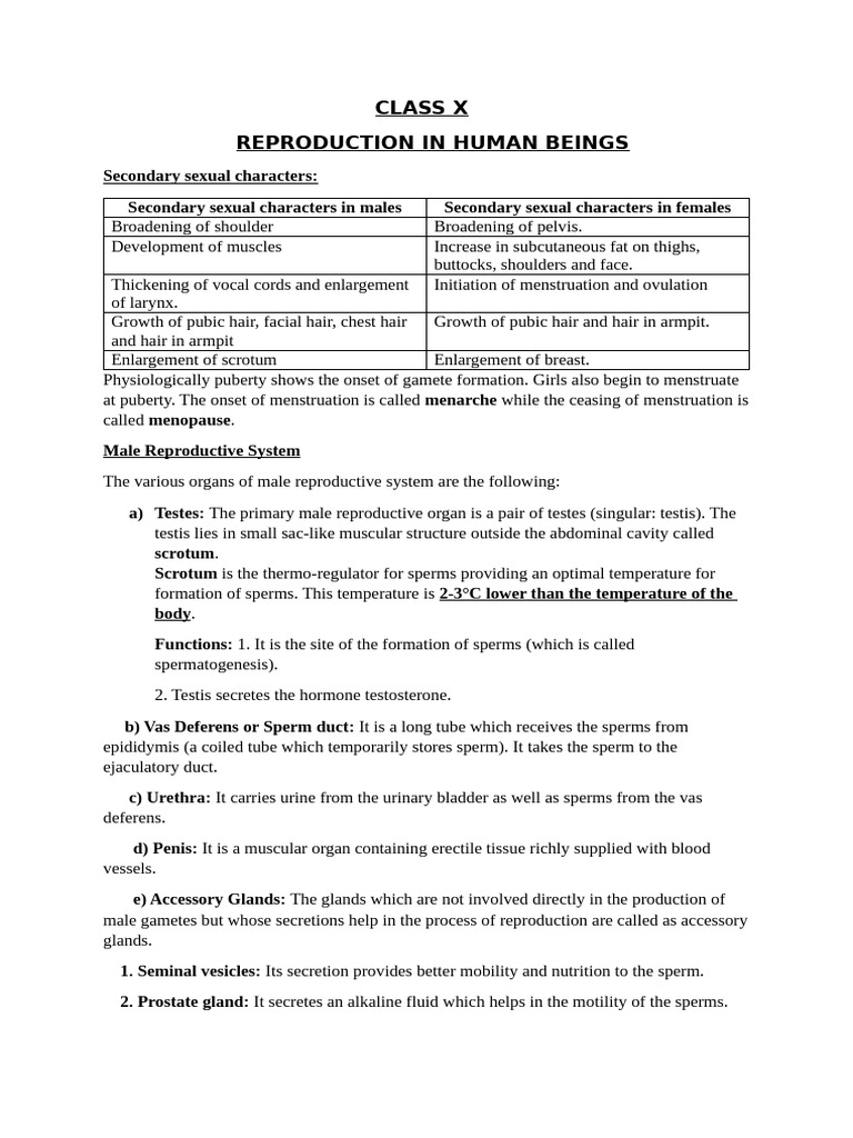 Human Reproduction - Class 10 | PDF | Fertilisation | Reproductive System
