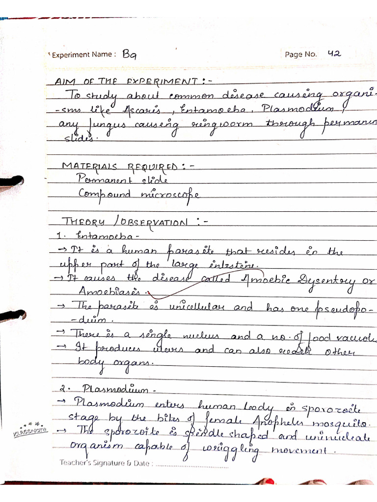 Biology Expt-B 9 | PDF