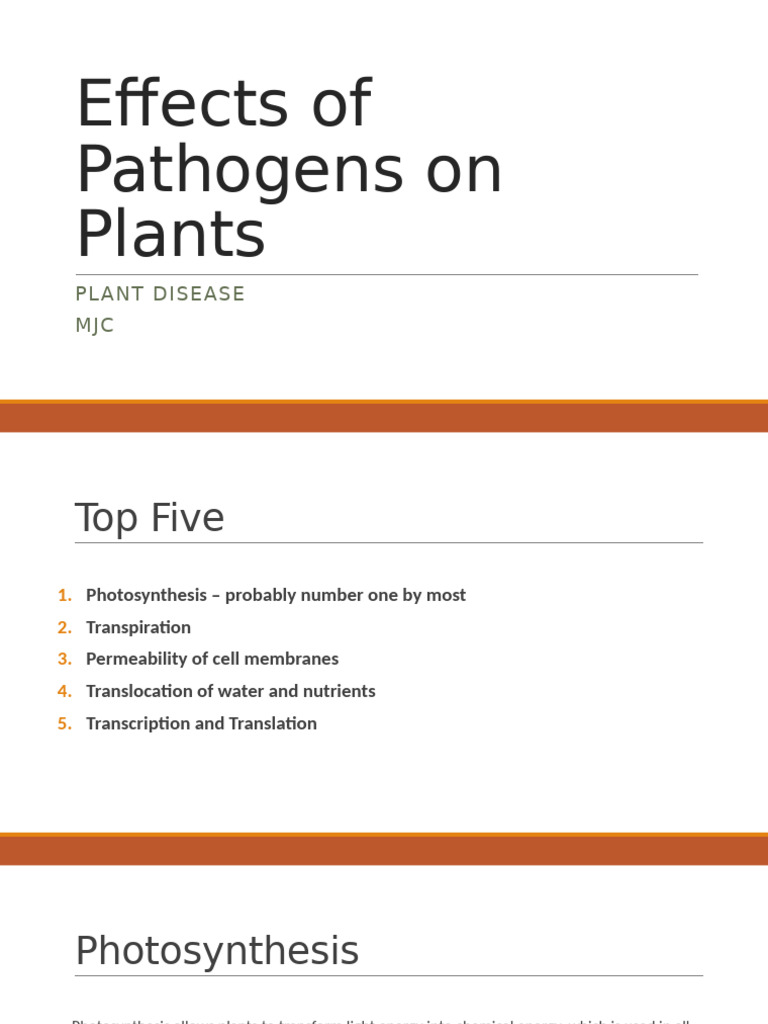 Effects of Pathogens on Plants S22 | PDF | Leaf | Plant Nutrition