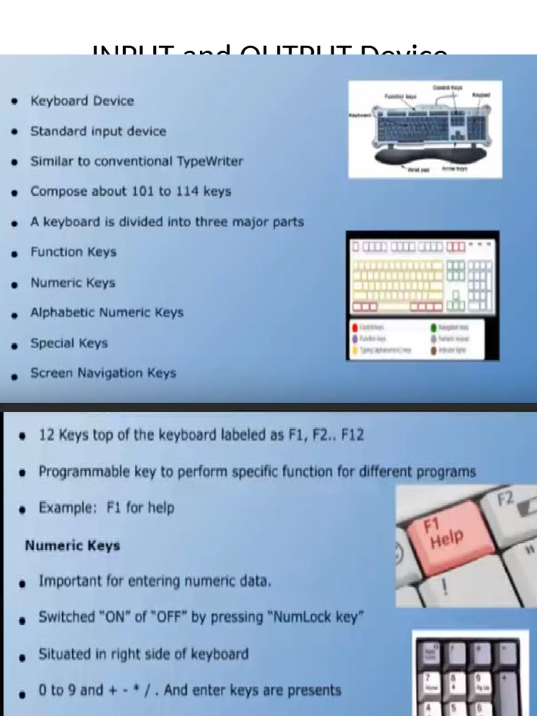 INPUT and OUTPUT Device | PDF