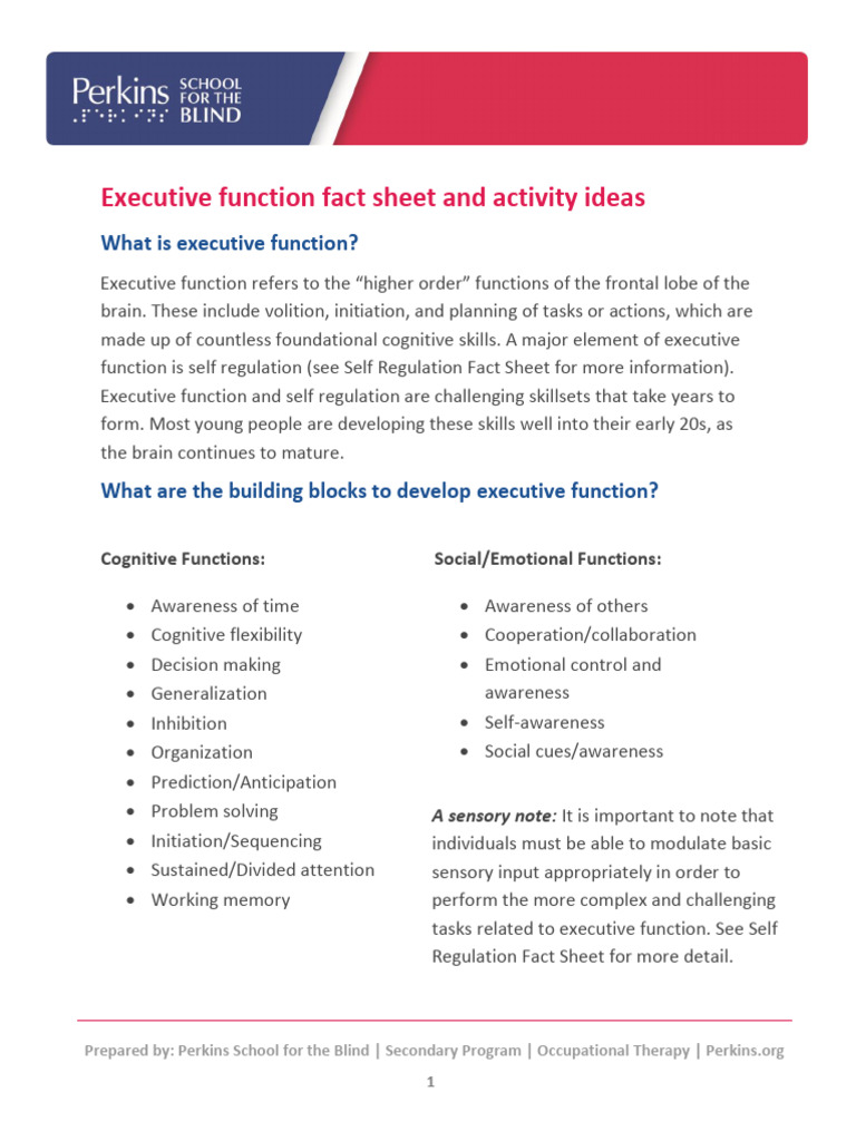 Executive Function Fact Sheet and Activity Ideas | PDF | Executive ...