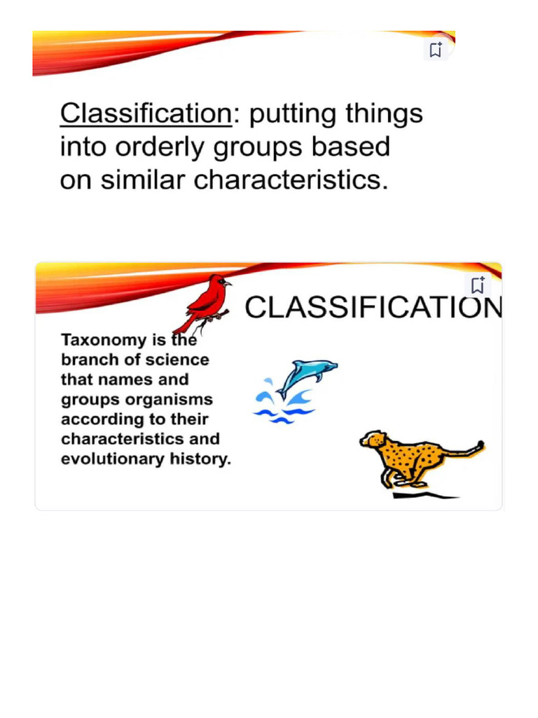 Grade 6 - System of Classification | PDF