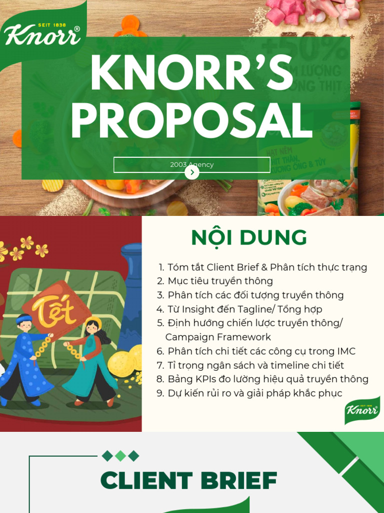 Proposal Knorr | PDF