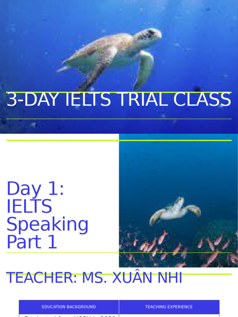 3D-trial-class | PDF | Vocabulary | International English Language ...