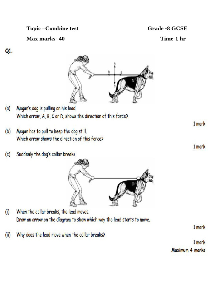 Combine Test on FRA.G8 | PDF