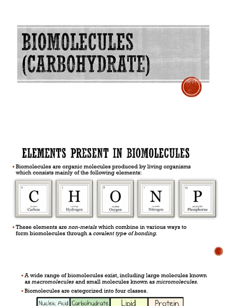 Biomolecules & Carbohydrates | PDF | Carbohydrates | Glucose