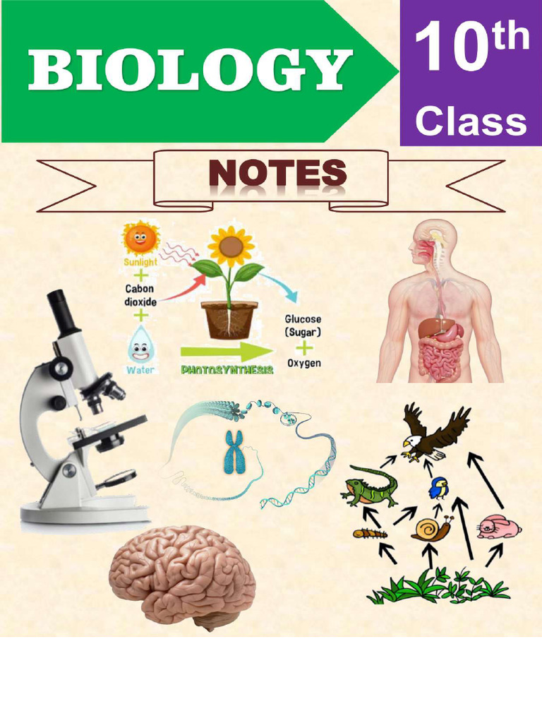 10th Class Biology Notes 2024-25 | PDF