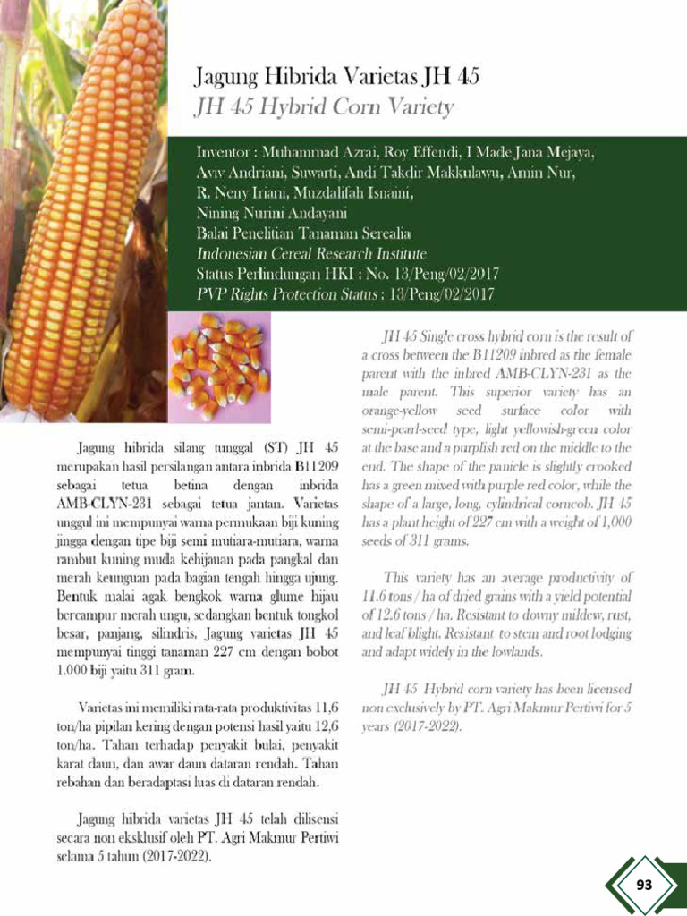 62-hasil-penelitian-jagung-hibrida-varietas-jh-45-balitbang-pertanian-kementan | PDF