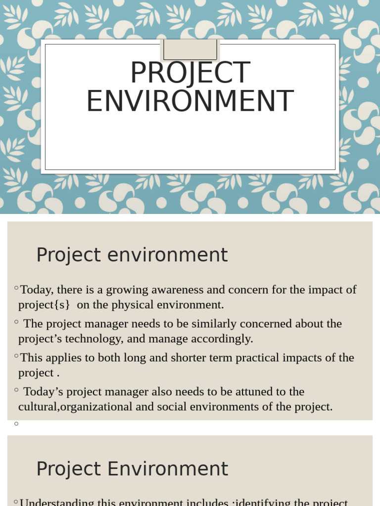Project Environment and Management Insights | PDF | Outsourcing ...