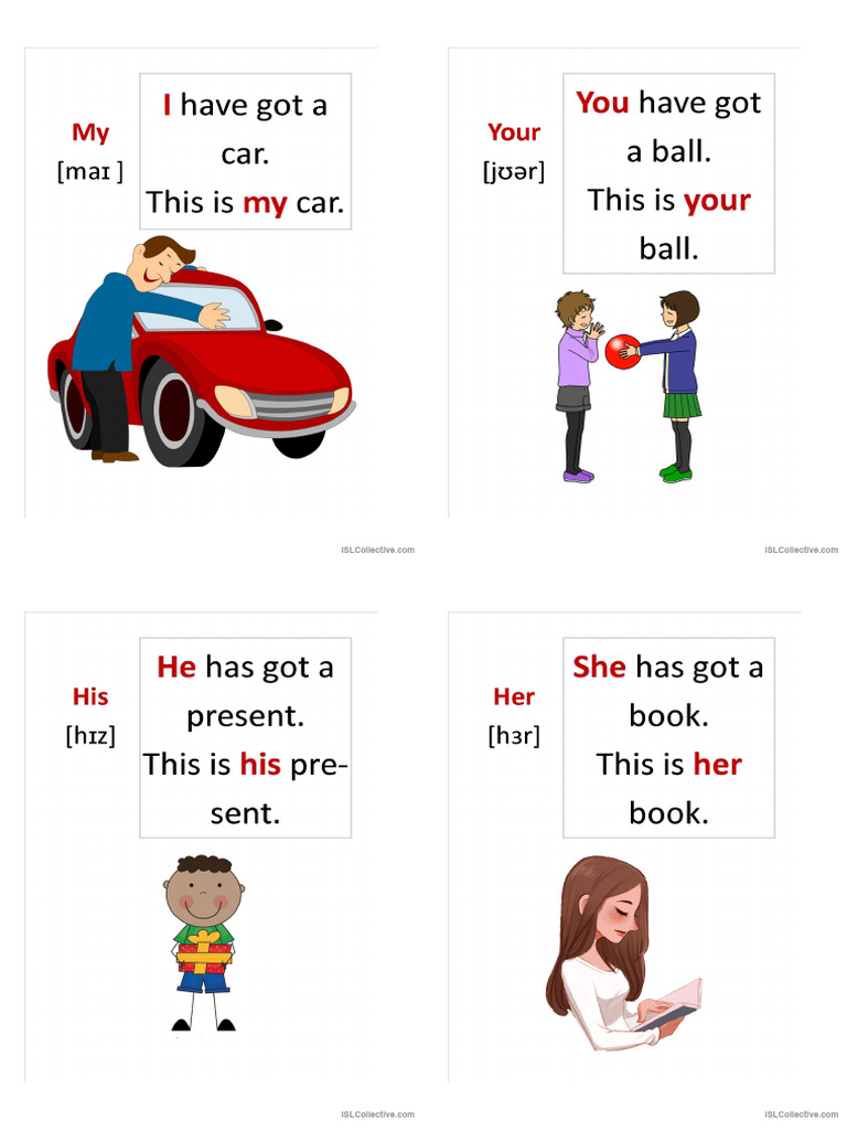 Possessives Flashcards | PDF