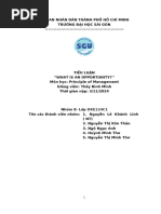 PPG Hi-Sil 233 Silica 1 | PDF | Silicon Dioxide | Natural Rubber