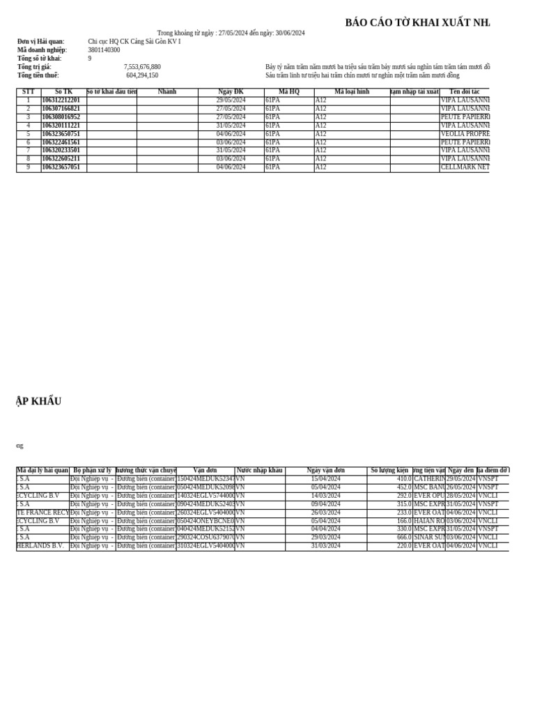 BaoCaoToKhai - THUAN AN | PDF