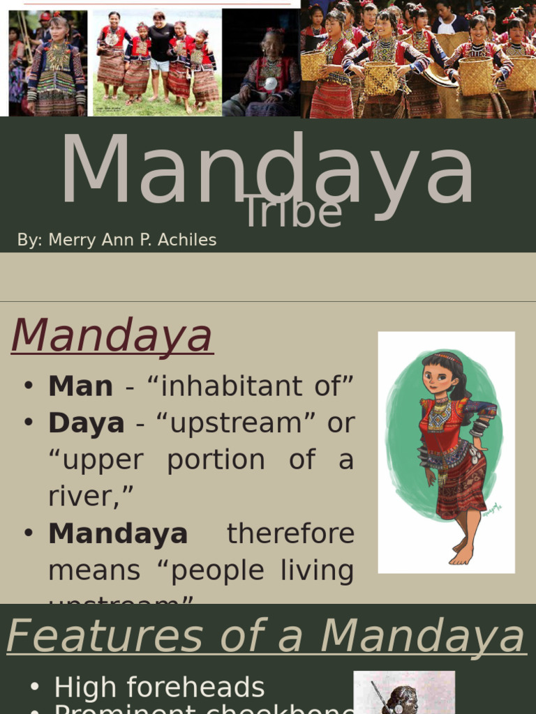 ACHILES-REPORT | PDF