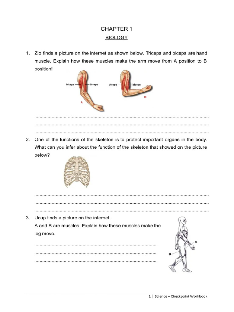 Science Checkpoint WB | PDF