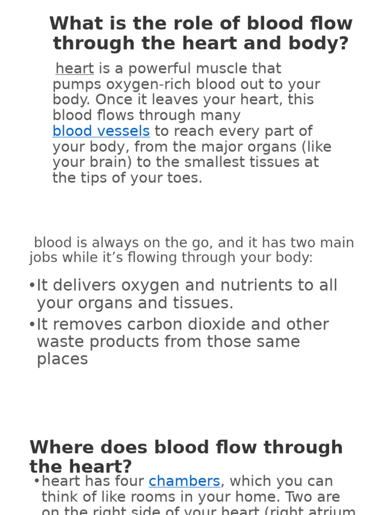 Blood Handling System | PDF | Heart Valve | Heart