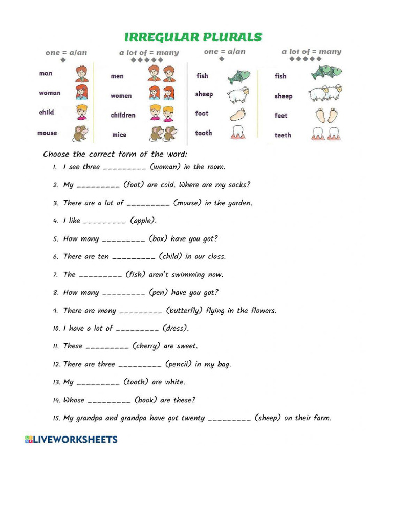 Plural Nouns Bundle | PDF