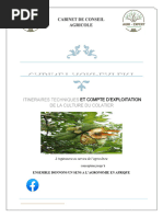 Guide de culture du macabo au Cameroun | PDF | Fertilisant | Maïs