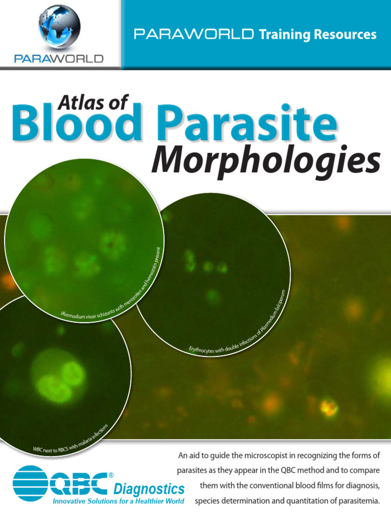 qbc_malaria_atlas | PDF | Plasmodium Falciparum | Plasmodium