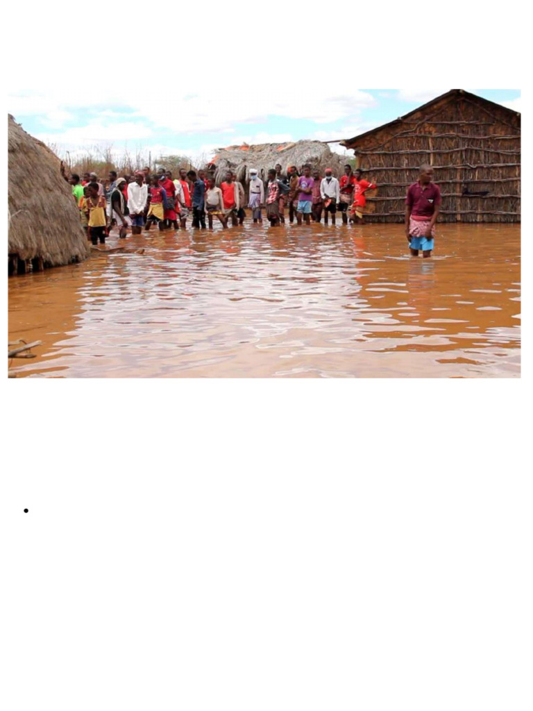 ECE 6111 Disaster Management Engineering - Lecture04 | PDF | Search And ...