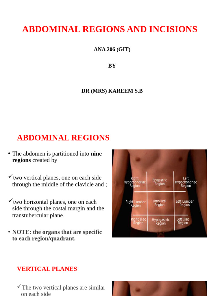 Abdominal Incision | PDF | Abdomen