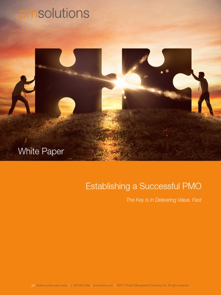 White Paper Establishing a Successful PMO 2017 | PDF | Project ...