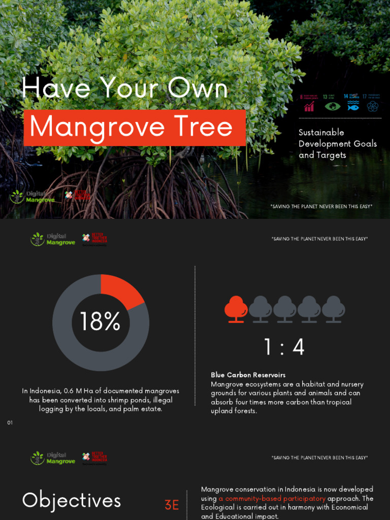 Digital Mangrove | PDF | Sustainability | Sustainable Development