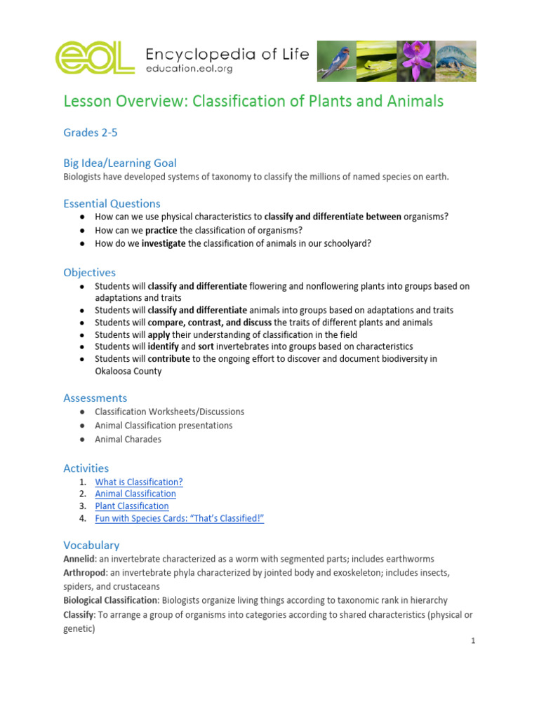2-5 Classification LessonOverview | PDF | Taxonomy (Biology) | Invertebrate