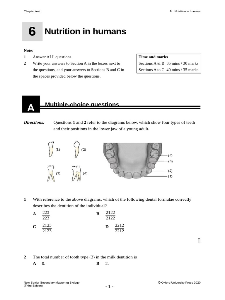 test_1A_ch06_e | PDF | Small Intestine | Digestion
