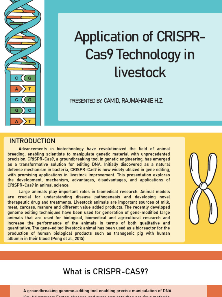 No.15 CAMID Report Application of Crispr Cas9 in Livestock | PDF ...