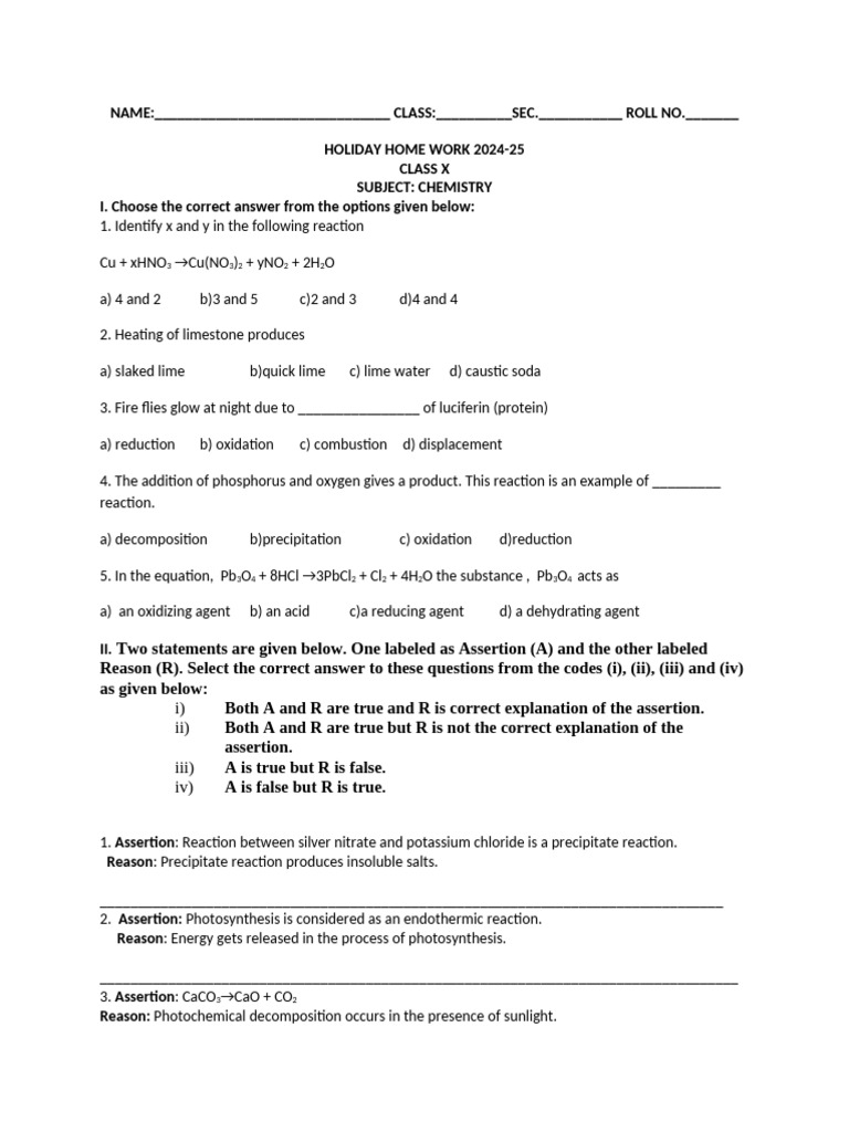 Cl. X HOLIDAY HOME WORK 2024 | PDF | Chemical Reactions | Redox