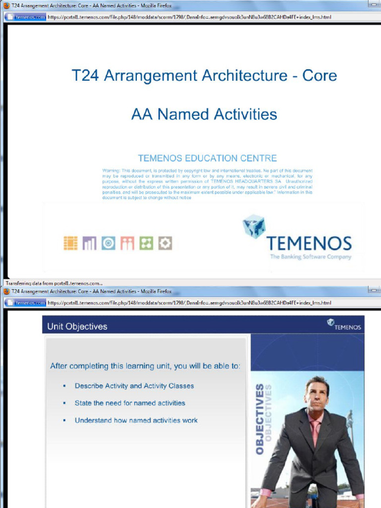 12. T24 AA_Core_AA Named Activities.ppt11 | PDF