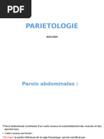 Anatomie de la Paroi Abdominale et de l'Aine | PDF | Péritoine | Abdomen