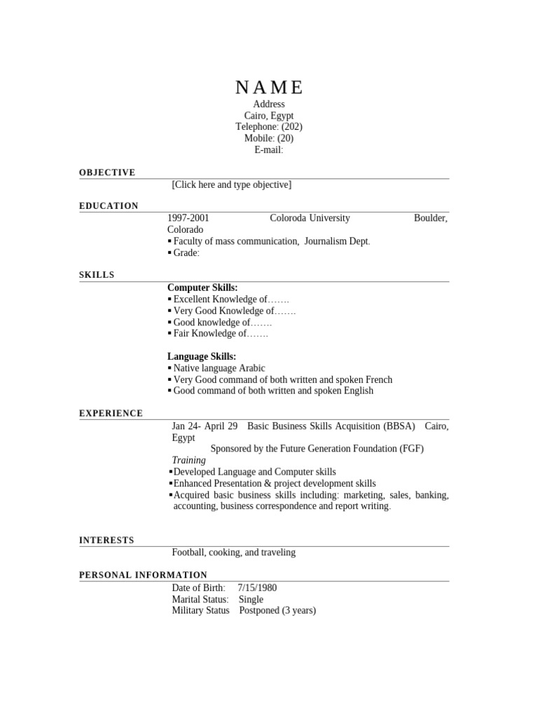 CV Template For The Exam 2003 | PDF