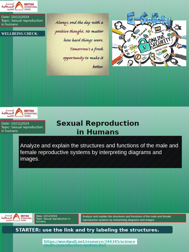 Lesson 6- Male and Female Reproductive Systems | PDF | Human Sexuality ...