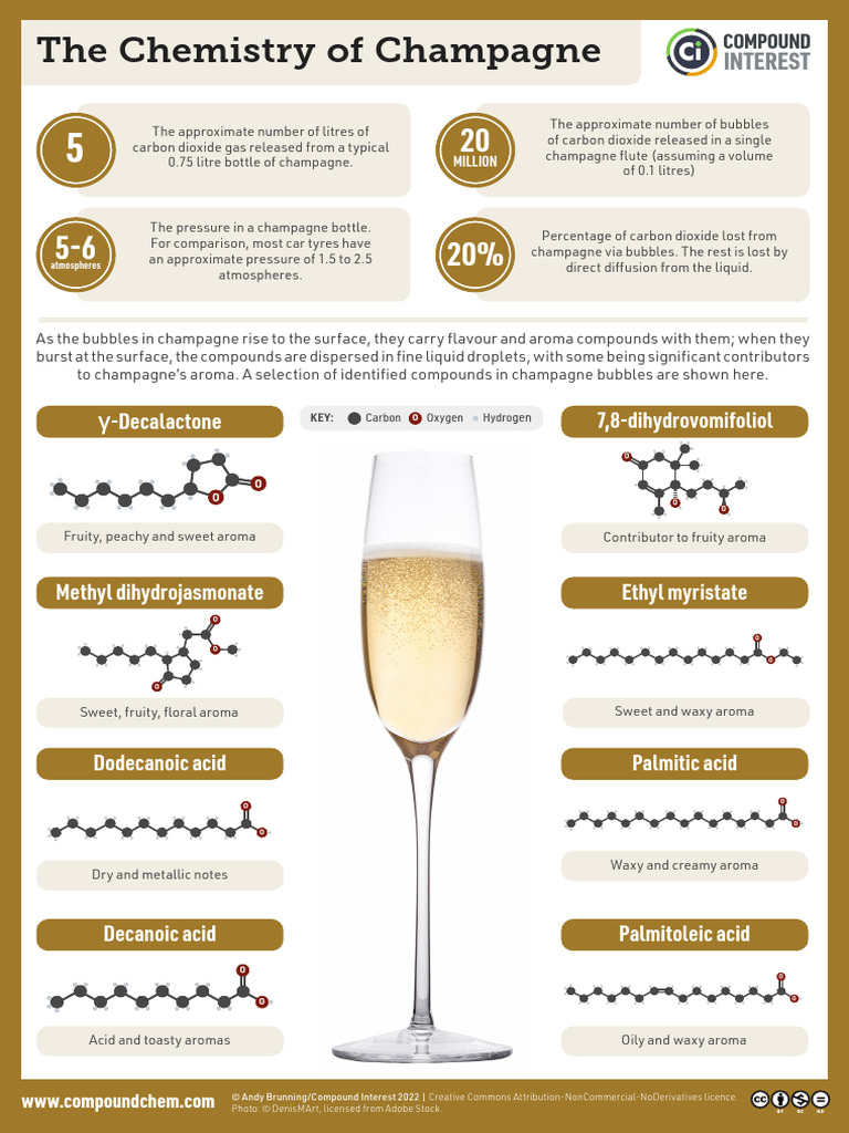 Champagne Chemistry 2023 | PDF | Champagne | Carbon Dioxide