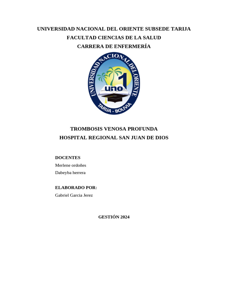 FORMATO PAE 2024 Trombosis | PDF | Trombosis | Vena