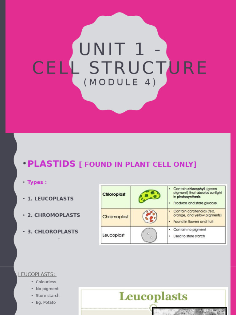 Class 9 Bio CELL Module 4 | PDF | Cell (Biology) | Histology
