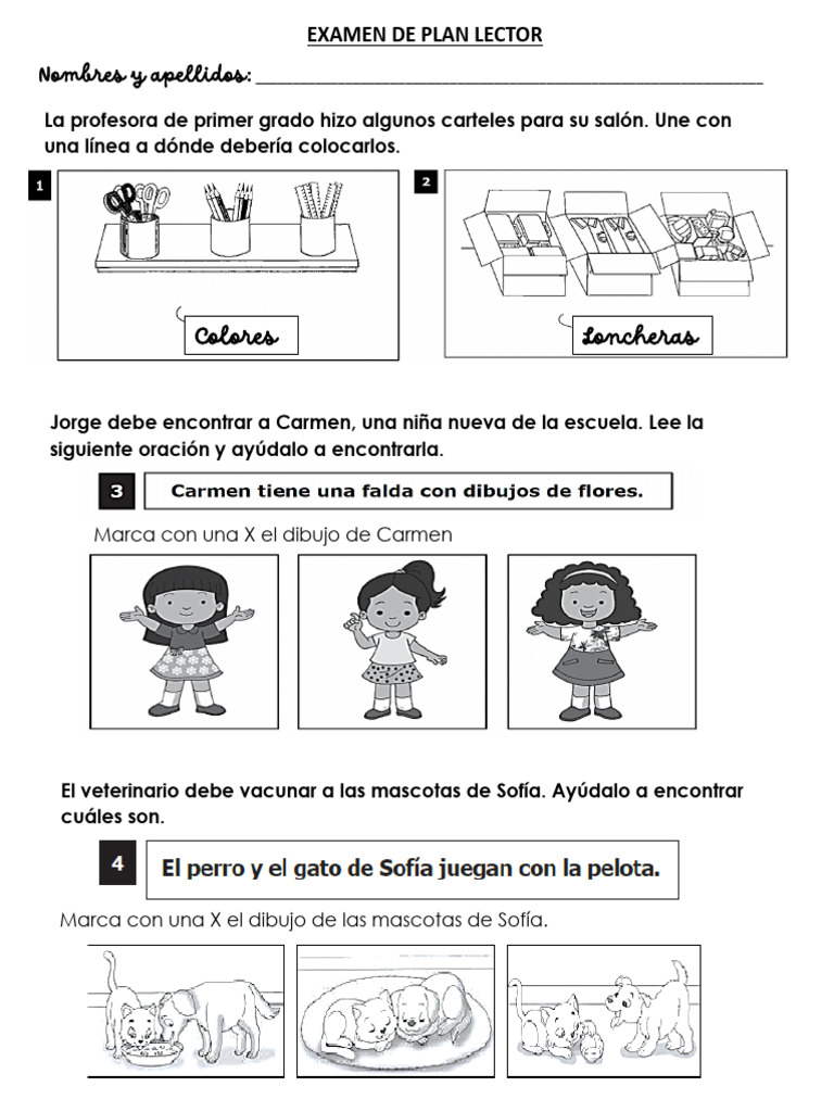 Comprension Lectora | PDF